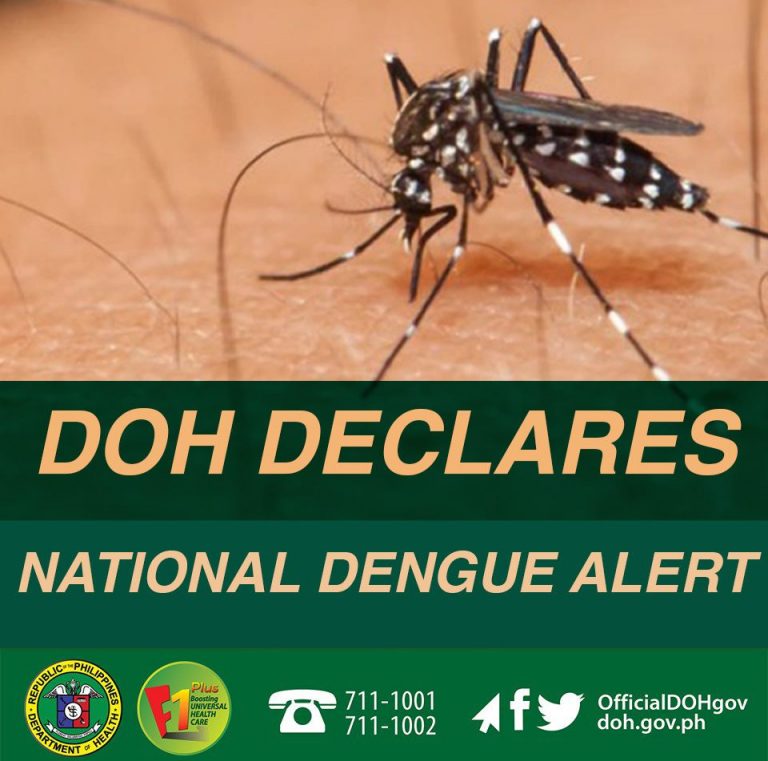 National Dengue Alert: Beyond the Numbers | CMFR