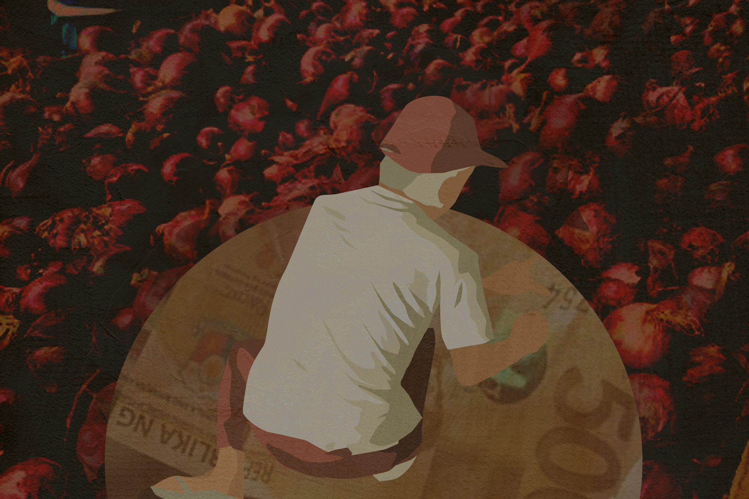 Rappler and Inquirer.net dig up the onion problem | CMFR