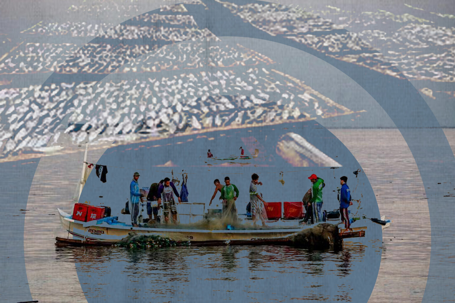 Marine Life and Livelihood: Inquirer zooms in on Manila Bay fisherfolk ...