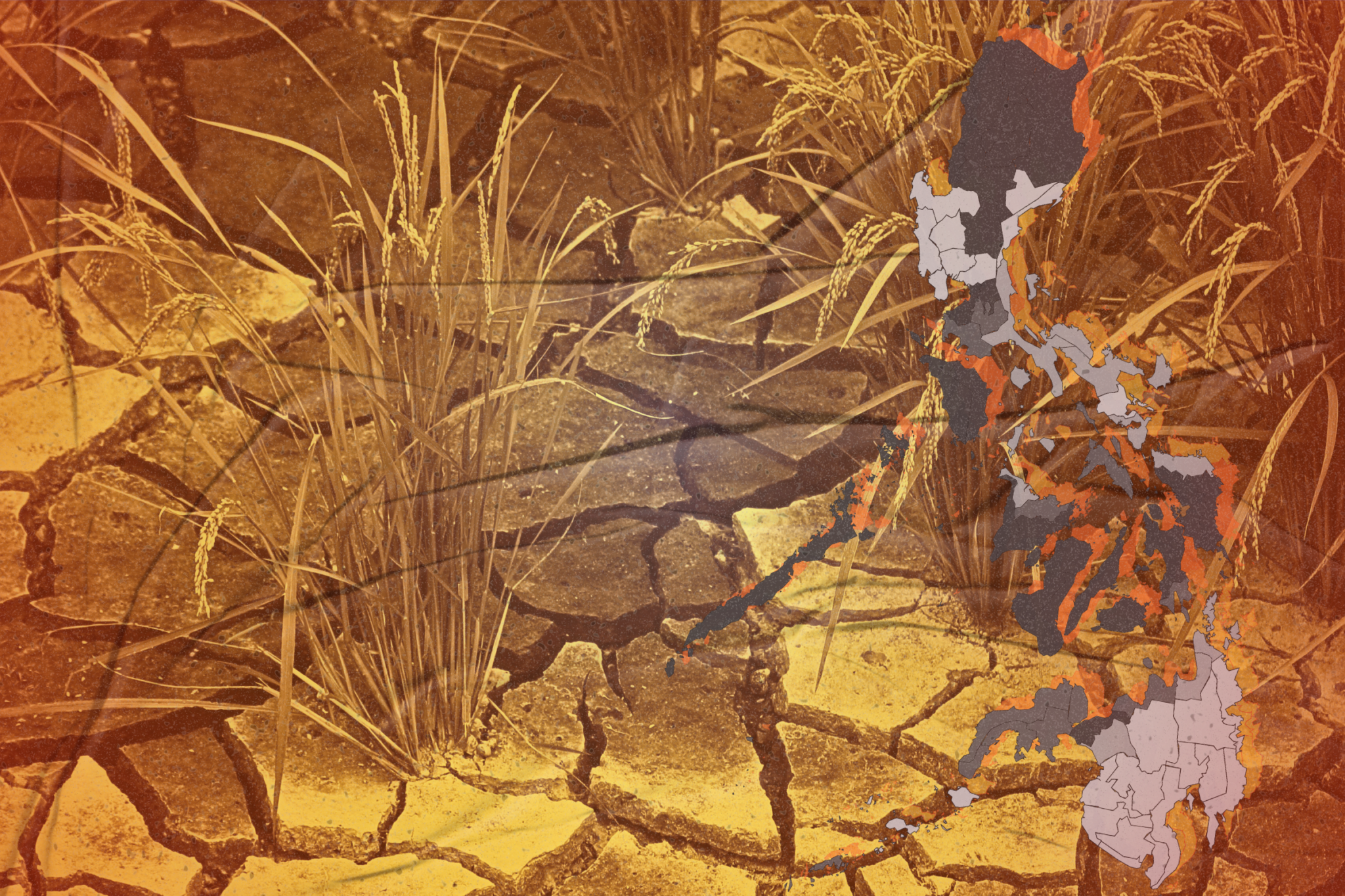 El Niño effects reported nationwide | CMFR